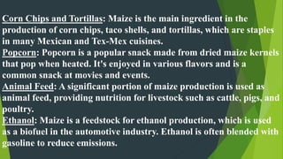 ECONOMIC BOTANY.pptx