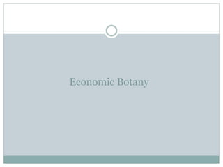 Economic Botany 1.pptx
