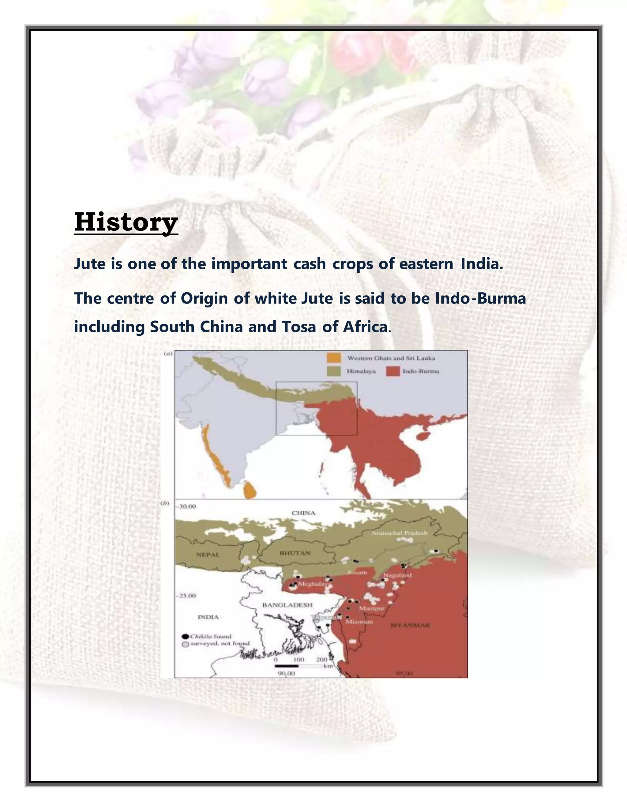 Extraction of fibre of Jute | DOCX