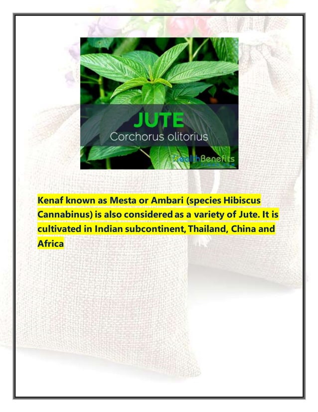 Extraction of fibre of Jute | DOCX | Needlework | Arts and Crafts