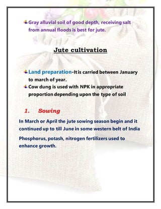 Extraction of fibre of Jute | DOCX