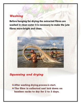 Extraction of fibre of Jute | DOCX