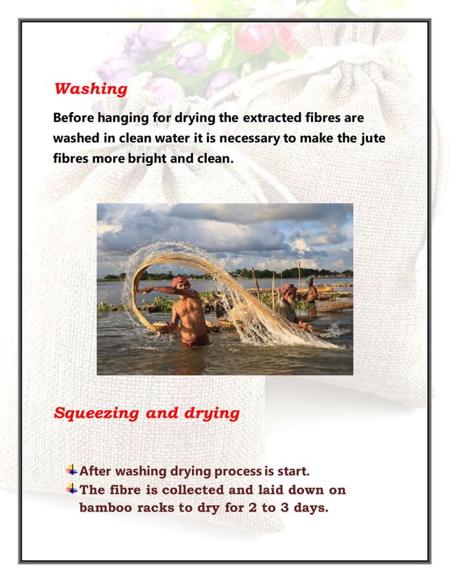 Extraction of fibre of Jute | DOCX | Needlework | Arts and Crafts