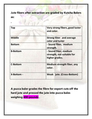 Extraction of fibre of Jute | DOCX