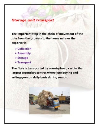 Extraction of fibre of Jute | DOCX