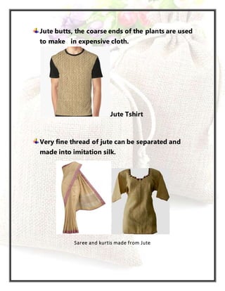 Extraction of fibre of Jute | DOCX