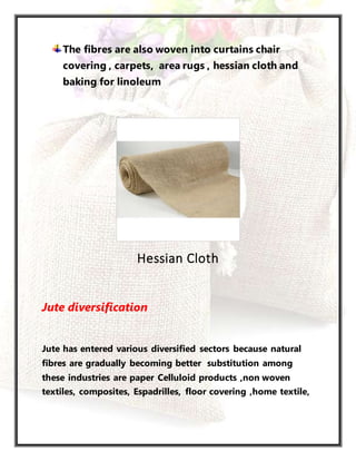 Extraction of fibre of Jute | DOCX