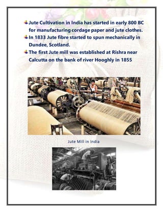 Extraction of fibre of Jute | DOCX