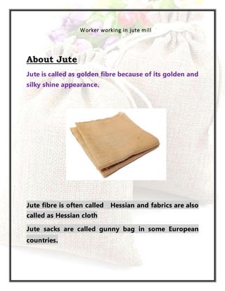 Extraction of fibre of Jute | DOCX