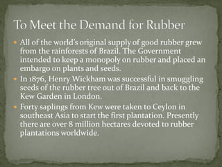 Economic Botany Presentation | PDF