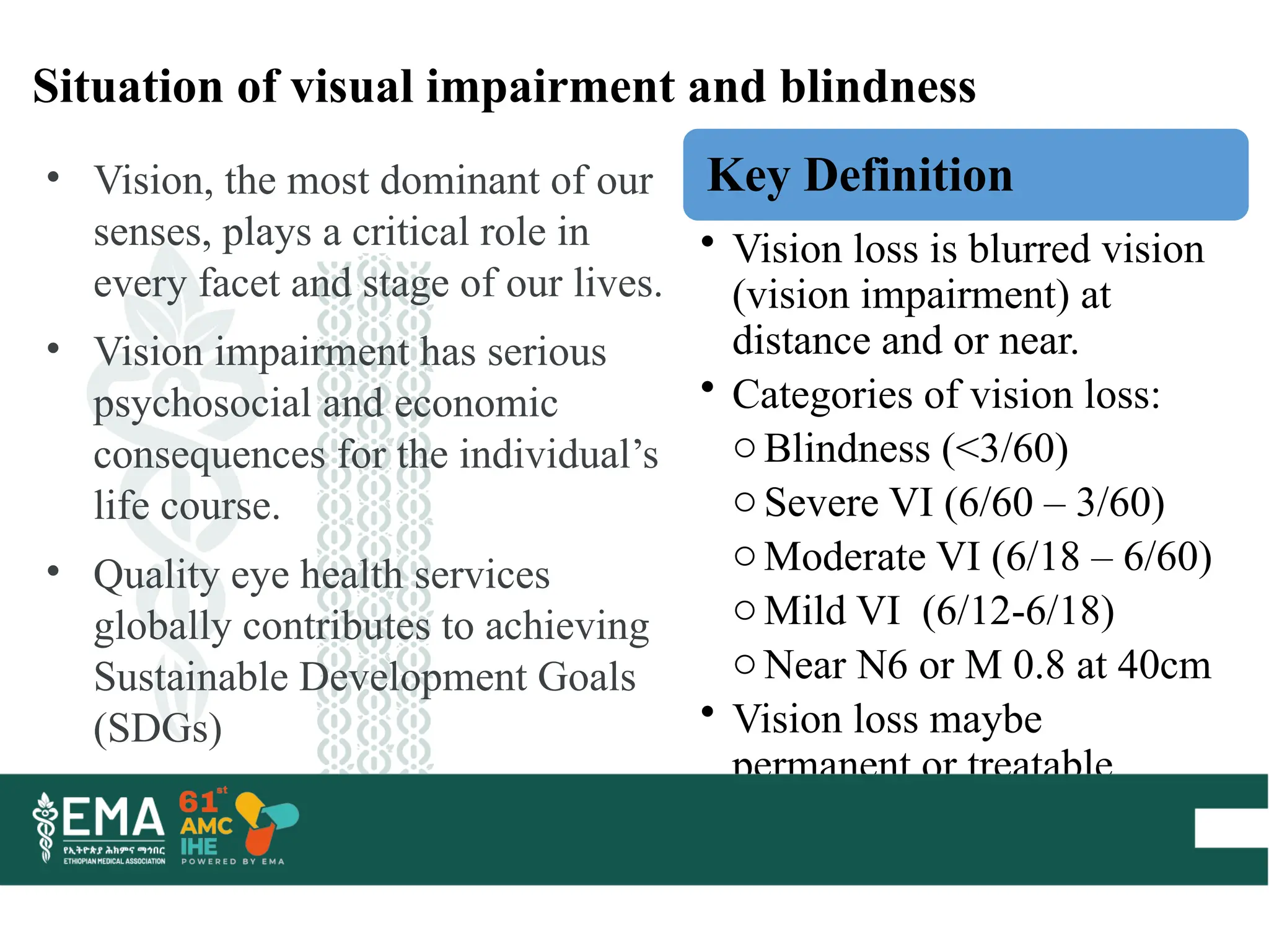 Economic Burden of Blindness and Visual Impairment.PPT