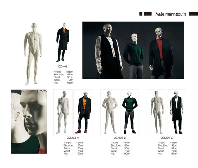 Economic choice abstract male mannequin | PPT