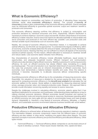 Economic Efficiency.docx | Economy | Business and Finance