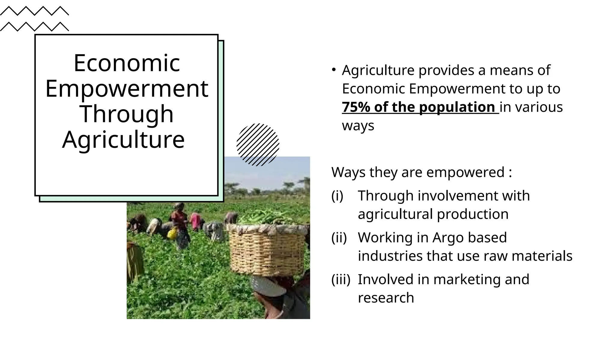 economic empowerment through agriculture.pptx