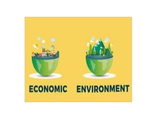 Economic environment | PPT