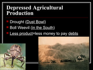 Boll Weevil and Drought in Georgia | PPT