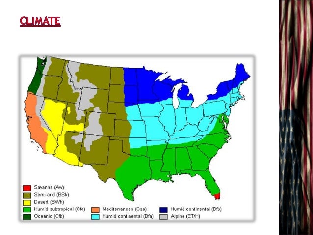 Economic geography of the ‘united states of