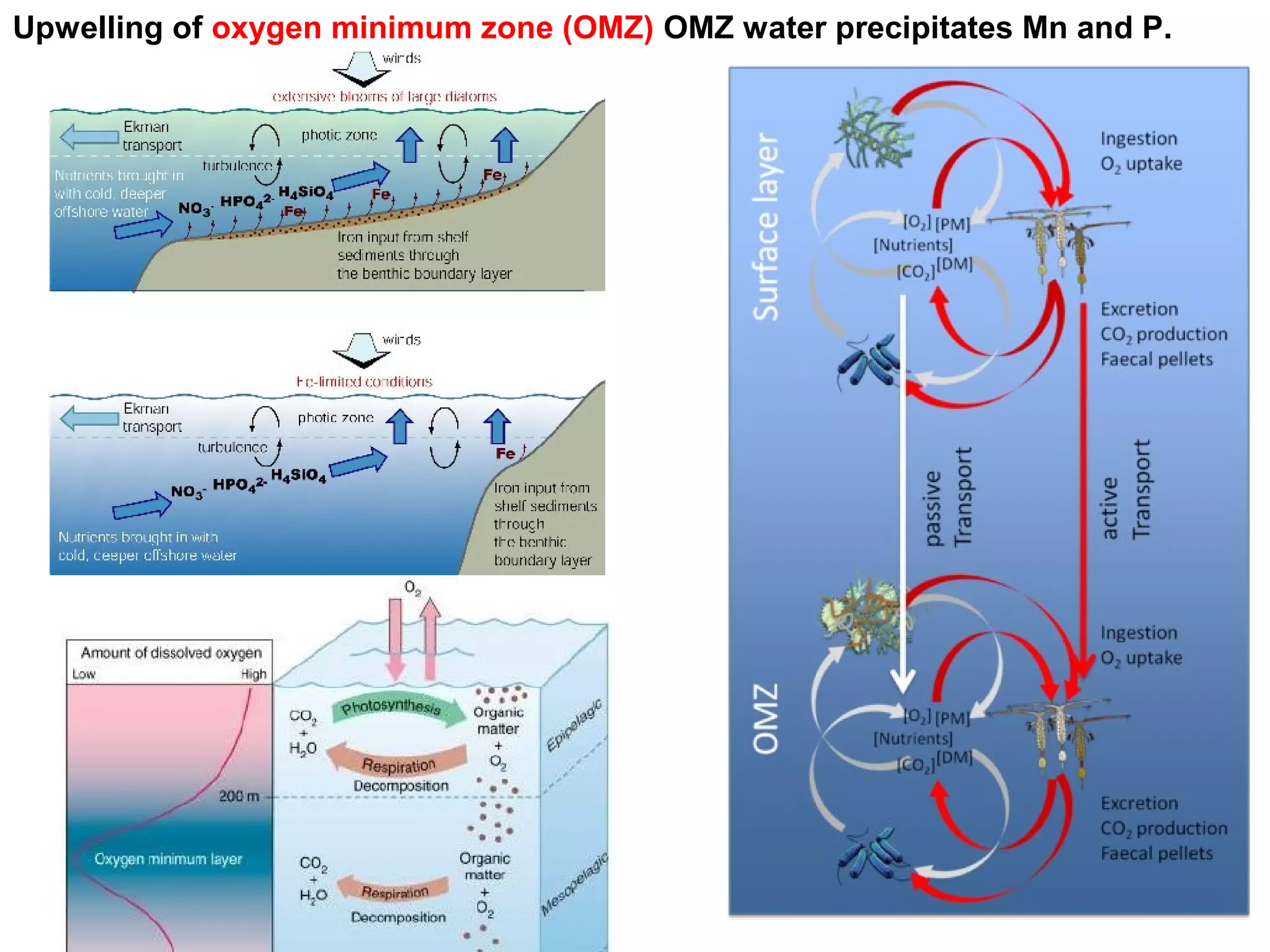 Economic geology - Sedimentary ore deposits | PPT