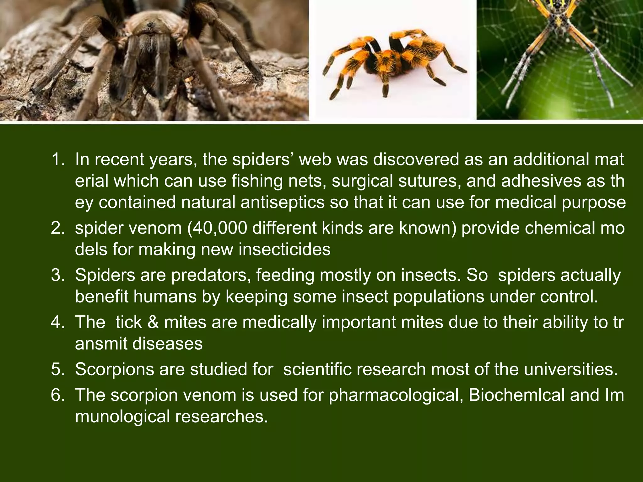 Economic Important Of Arthropods Ppt