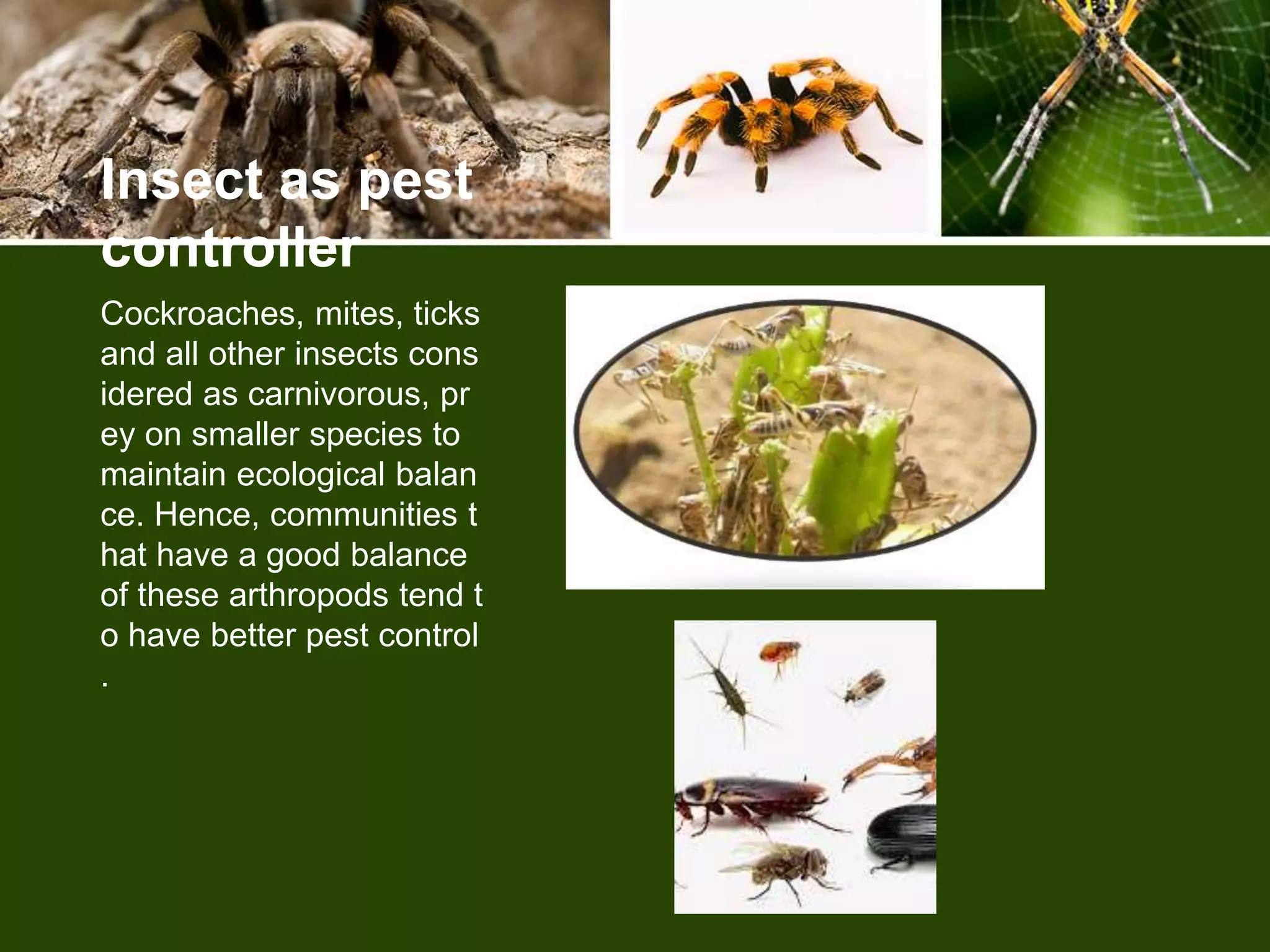 Economic important of arthropods | PPTX