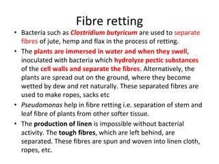 Economic importance of bacteria or application of bacteria | PDF