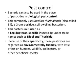Economic importance of bacteria or application of bacteria | PPT