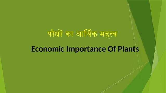 Economic Imp. of Plants includes cereals, pulses, oilseeds, essential ...