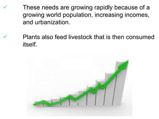 Economic Importance | PPTX