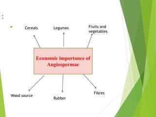 Economic importance OF VASCULAR PLANTS | PPTX