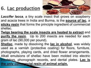 Economic importance lec-4.ppt