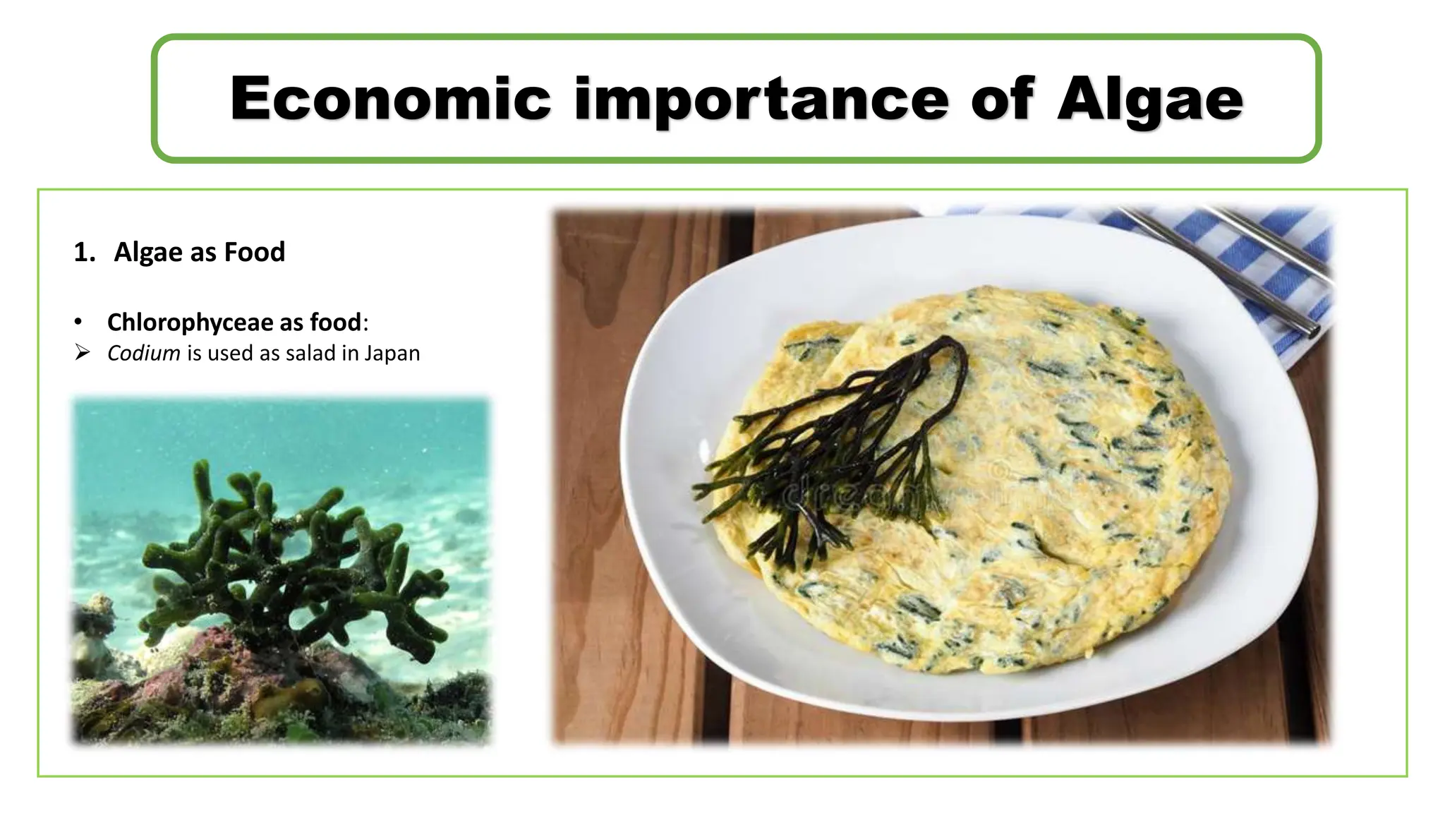 IMPORTANCE OF ALGAE AND ITS BENIFITS.pptx