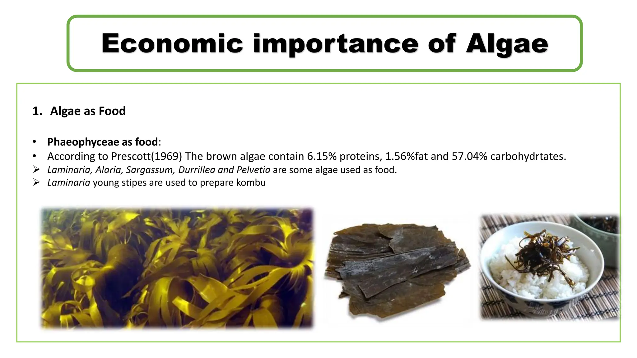 IMPORTANCE OF ALGAE AND ITS BENIFITS.pptx