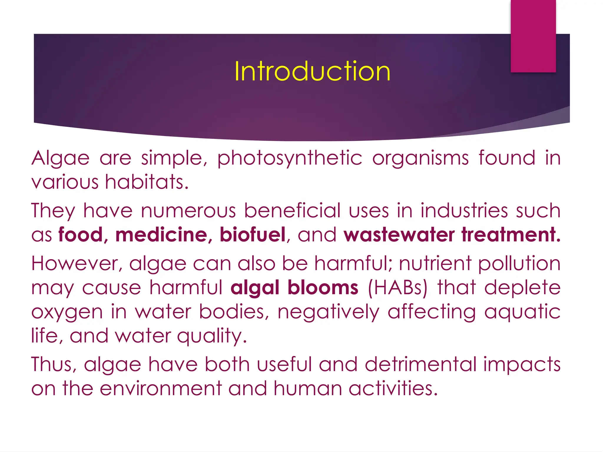 *Economic Importance of Algae*. ppt. Advantages and Disadvantages of Algae | PPT