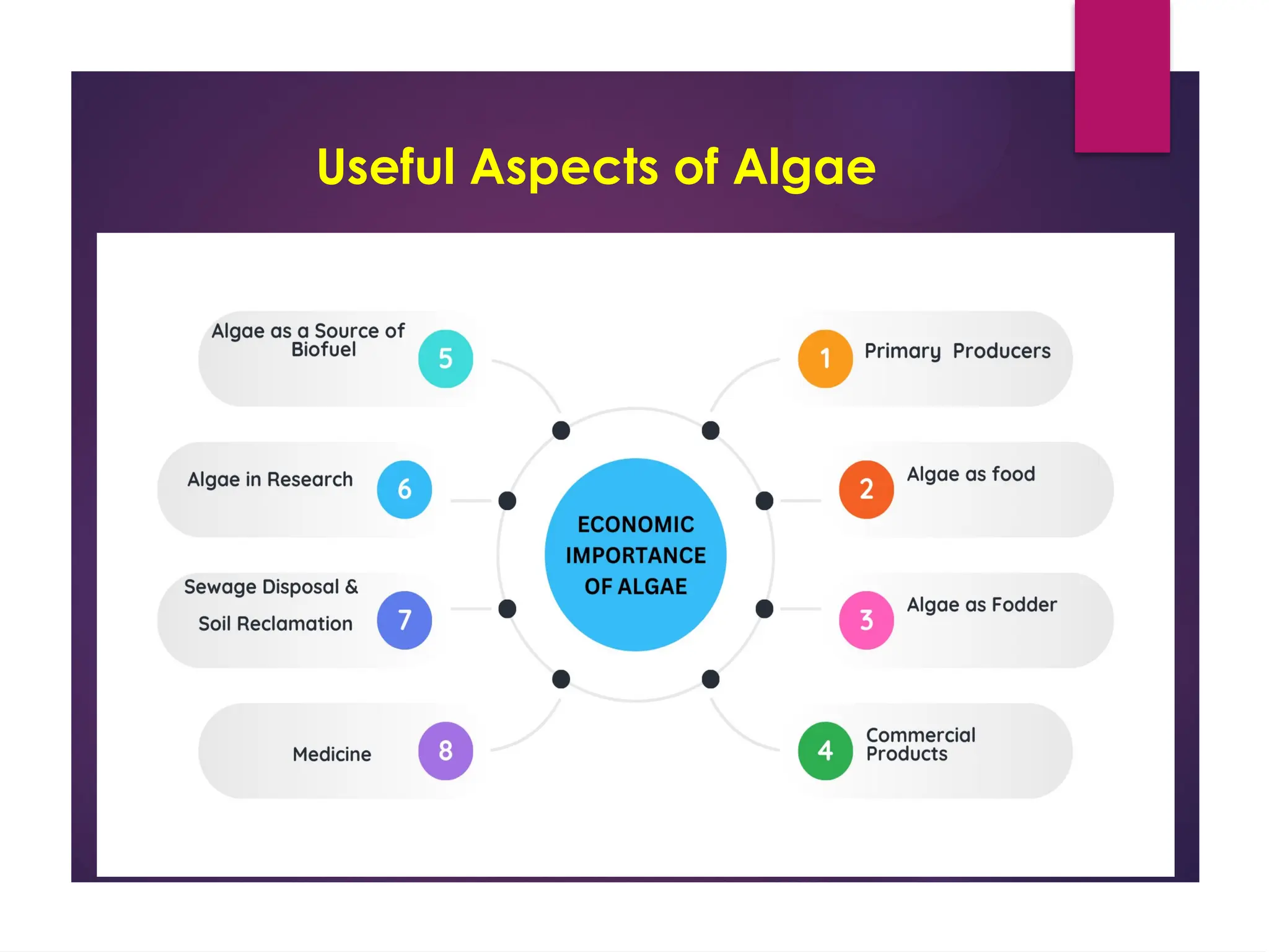 *Economic Importance of Algae*. ppt. Advantages and Disadvantages of Algae | PPT