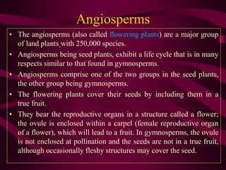 Economic importance of angiosperms | PPTX