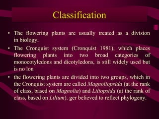 Economic importance of angiosperms | PPTX