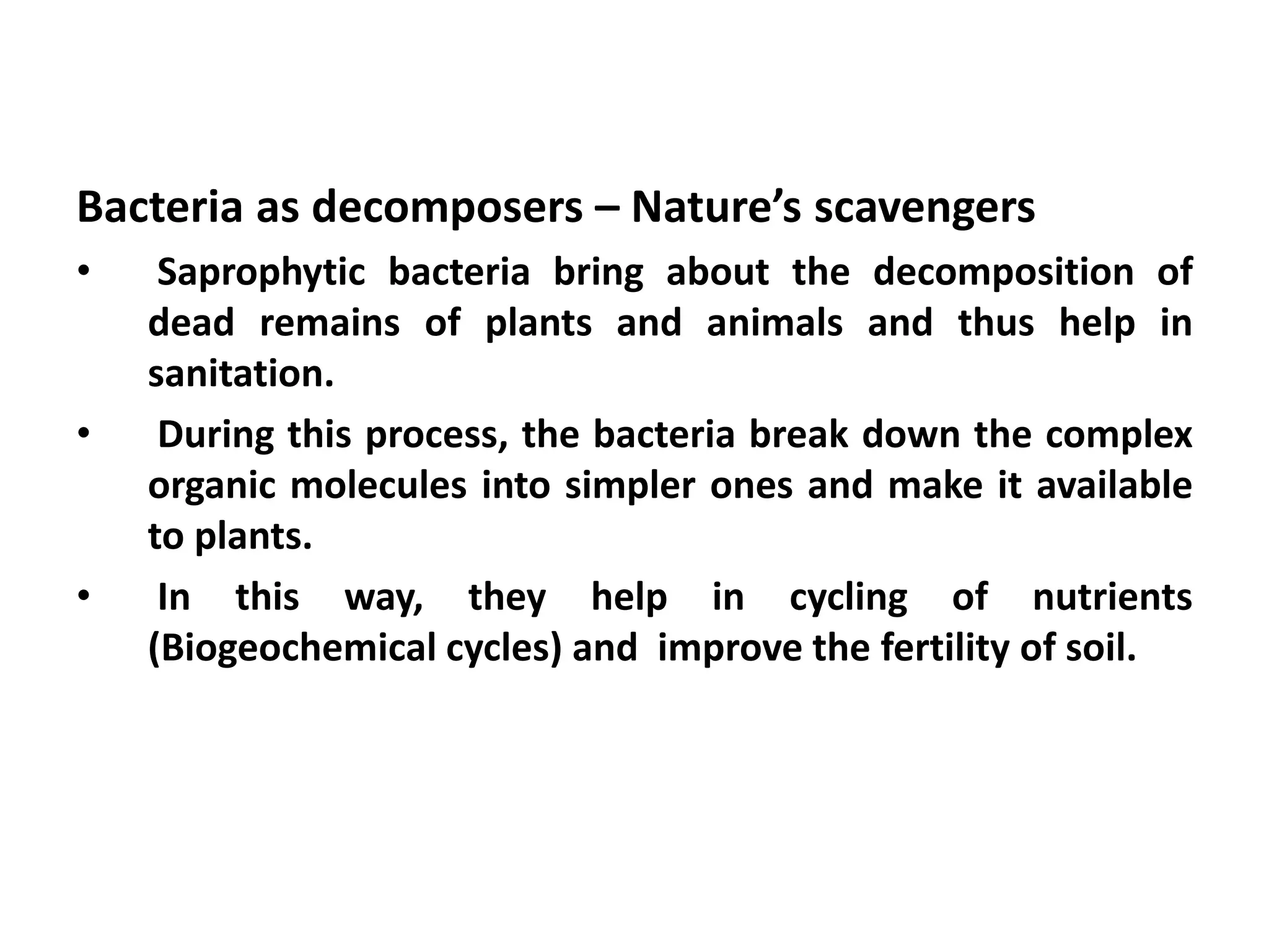 Economic Importance of Bacteria SMG | PPTX