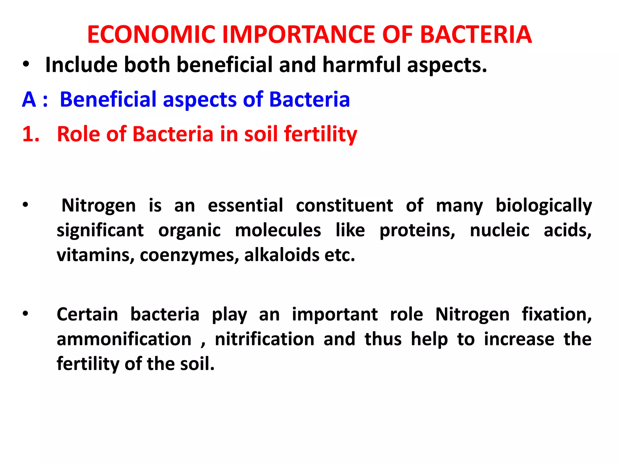 Economic Importance of Bacteria SMG | PPTX