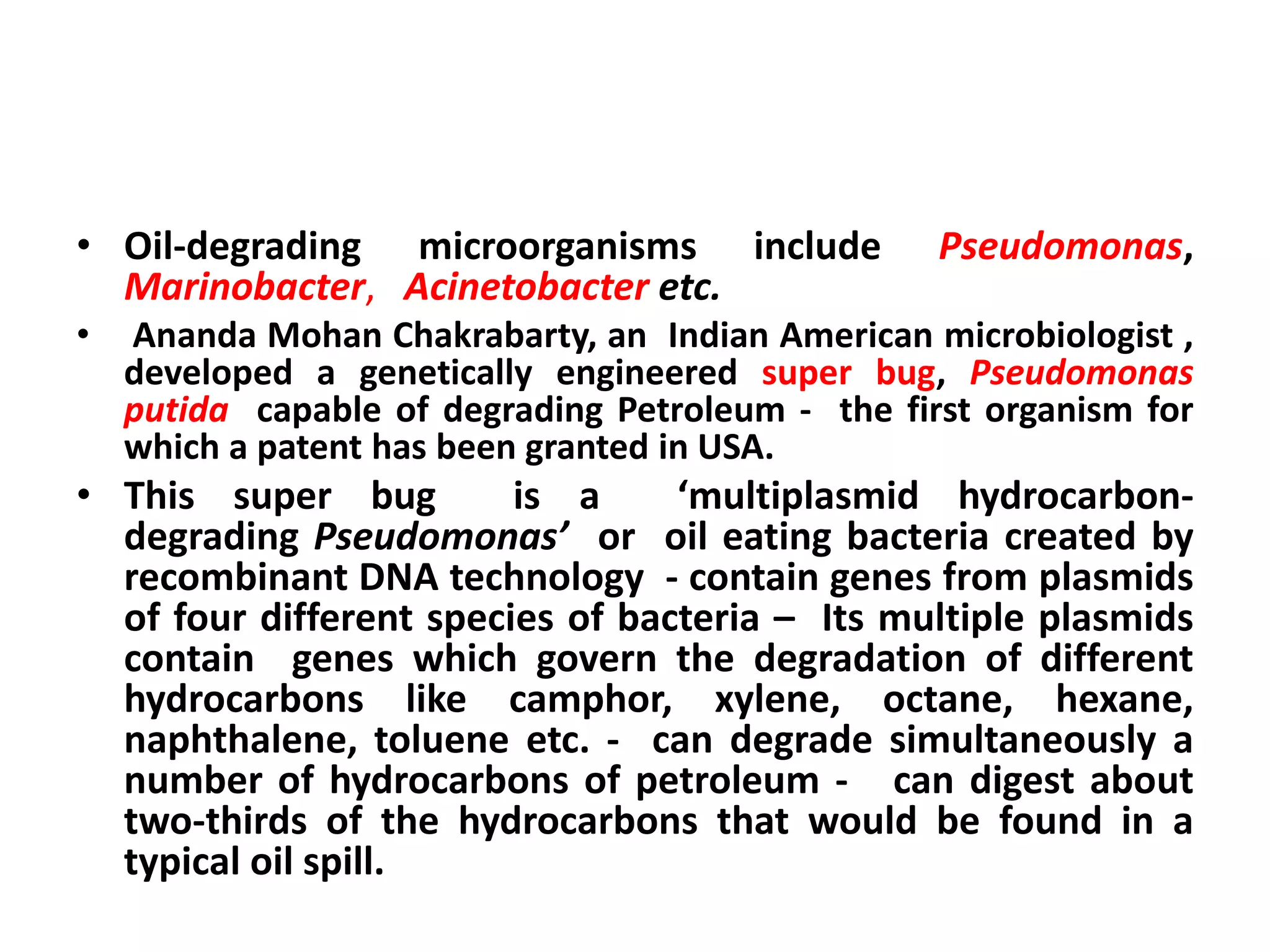 Economic Importance of Bacteria SMG | PPTX