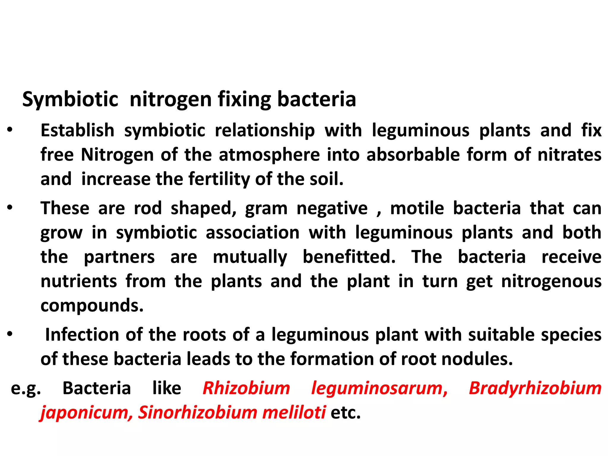 Economic Importance of Bacteria SMG | PPTX
