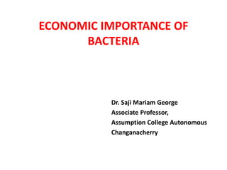 Economic Importance of Bacteria SMG | PPTX