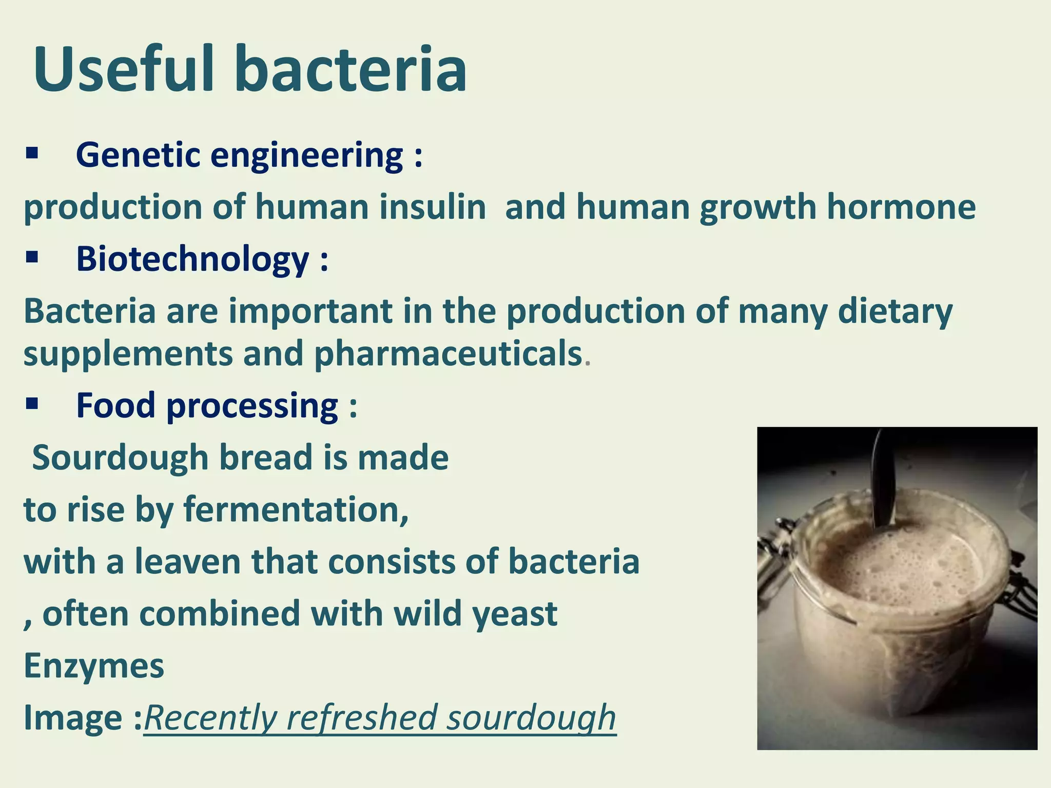 Economic importance of bacteria | PPTX