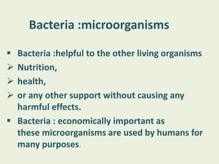 Economic importance of bacteria | PPTX