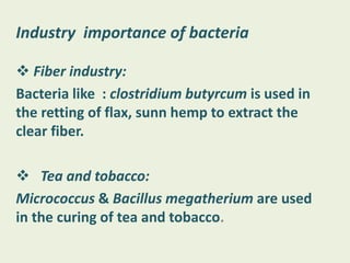 Economic importance of bacteria | PPTX
