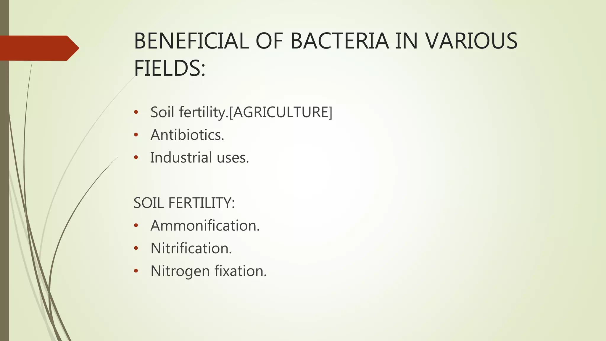 Economic importance of bacteria | PPTX