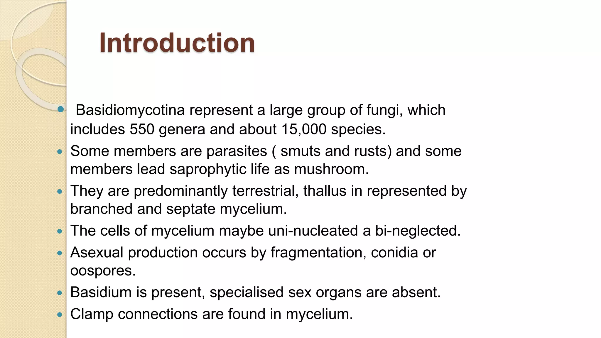 Economic importance of Basidiomycotina.pptx