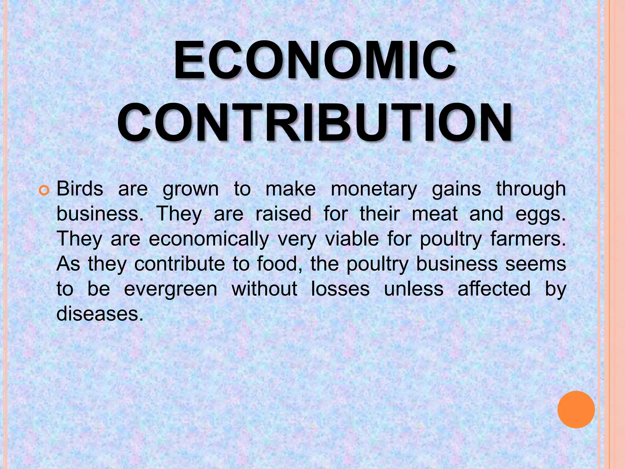 Economic importance of birds | PPTX