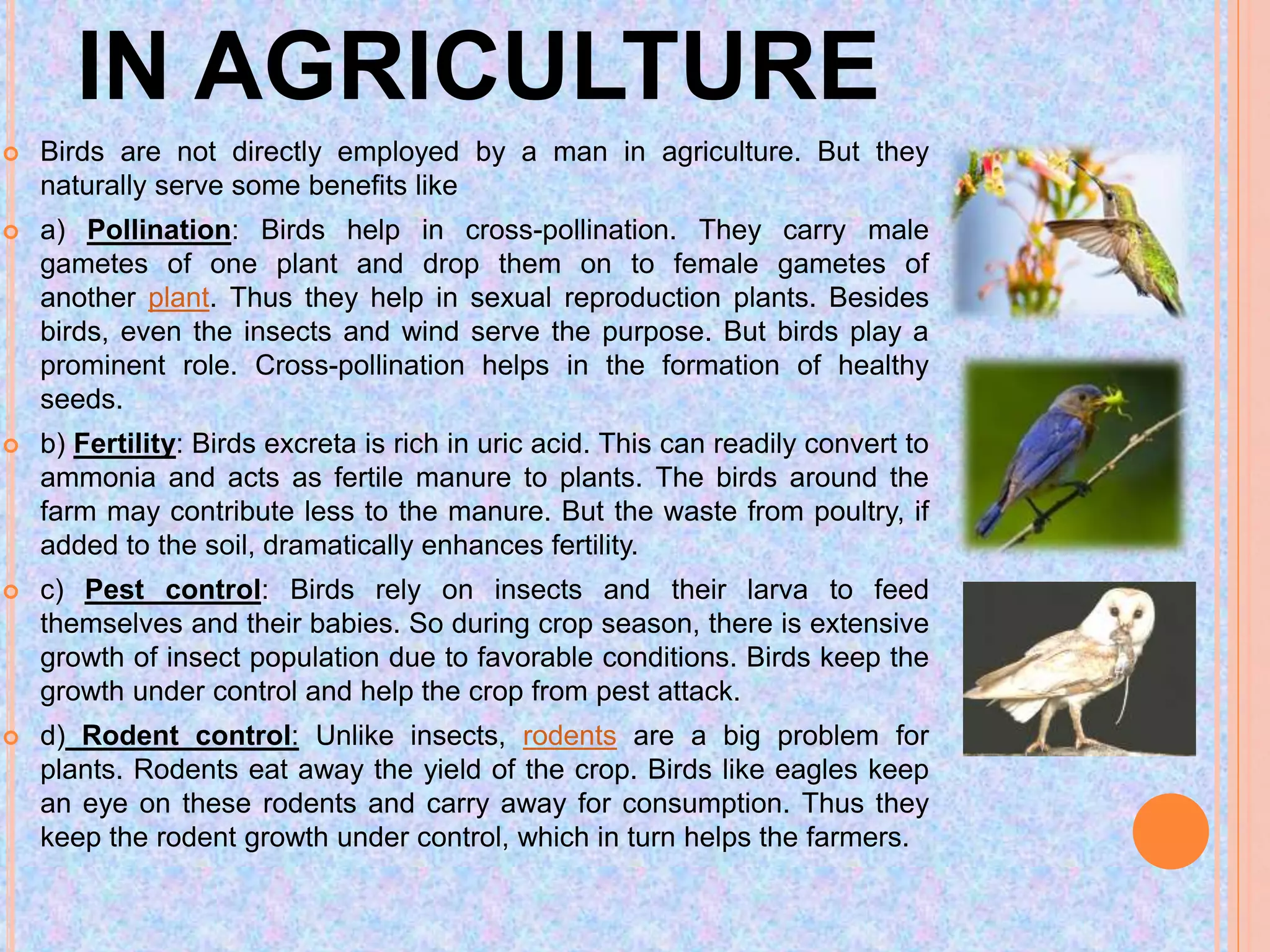 Economic importance of birds | PPTX