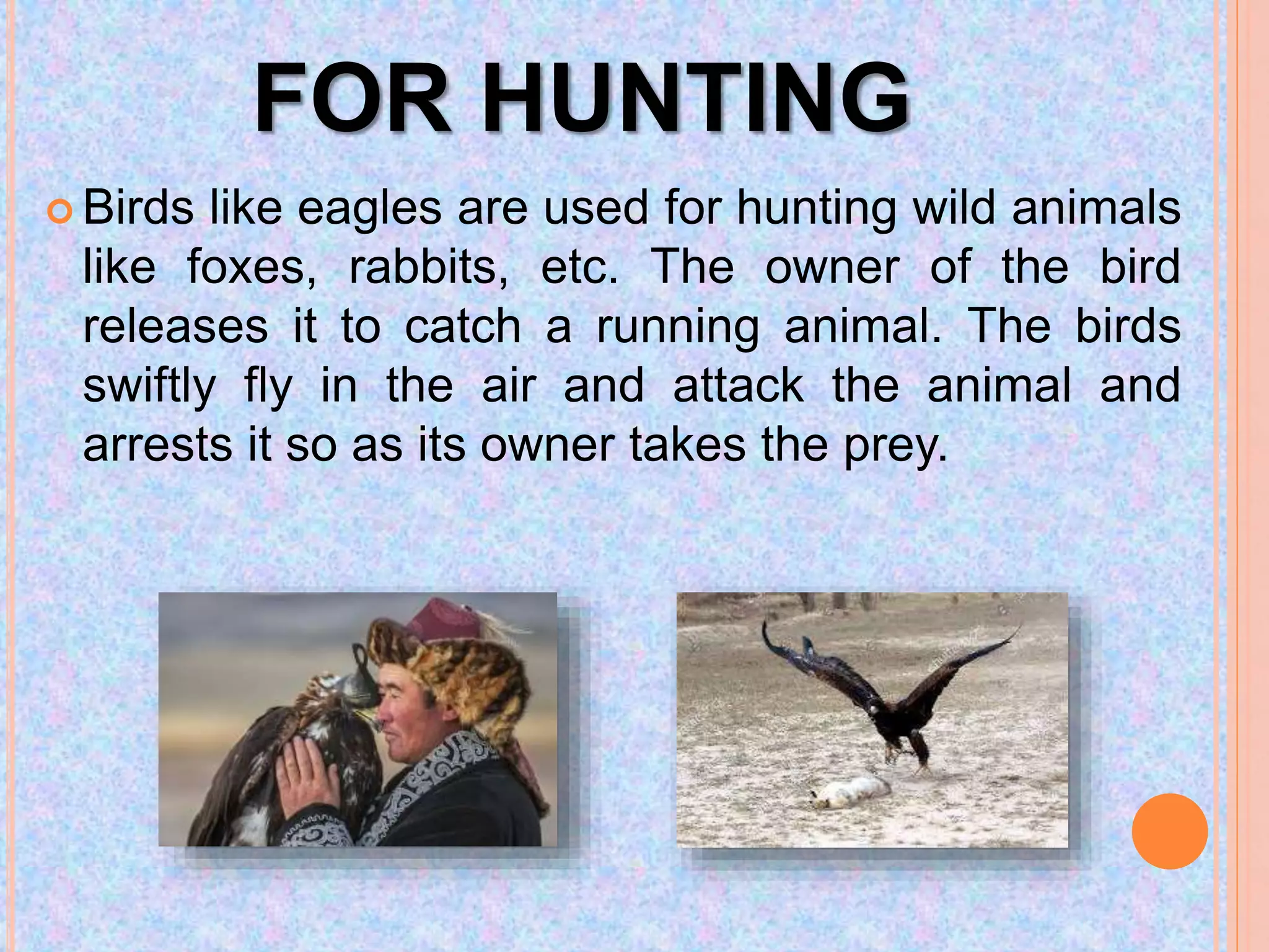 Economic importance of birds | PPTX