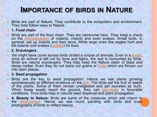 Economic importance of birds | PPTX